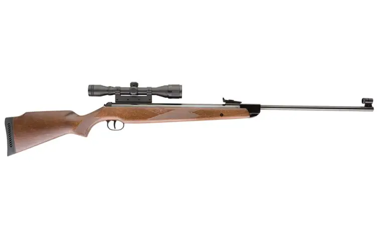 Top 10+ Best Pellet Guns For Killing Squirrels » [ Best Air Rifle ...