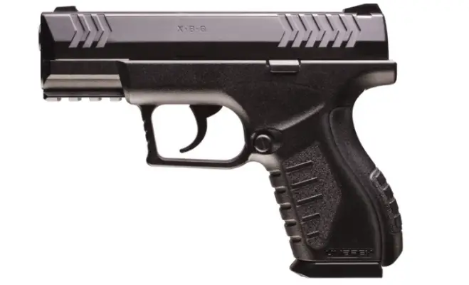 Top 10+ Best Pellet Guns For Killing Squirrels » [ Best Air Rifle ...